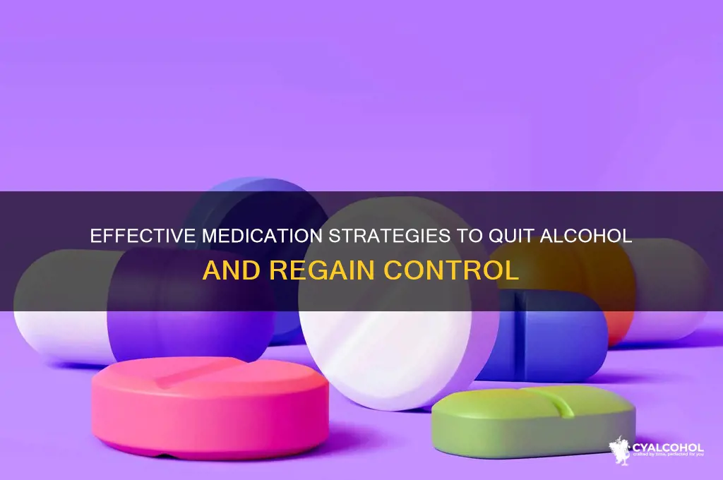 Effective Medication Strategies To Quit Alcohol And Regain Control ...