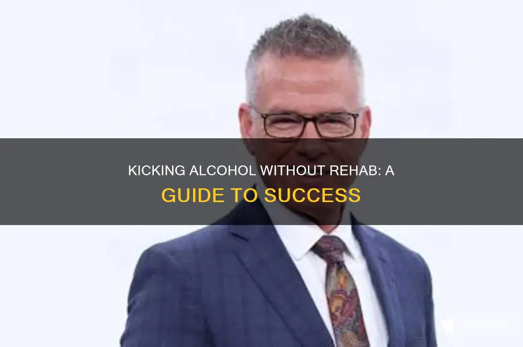 Kicking Alcohol Without Rehab: A Guide To Success | CyAlcohol