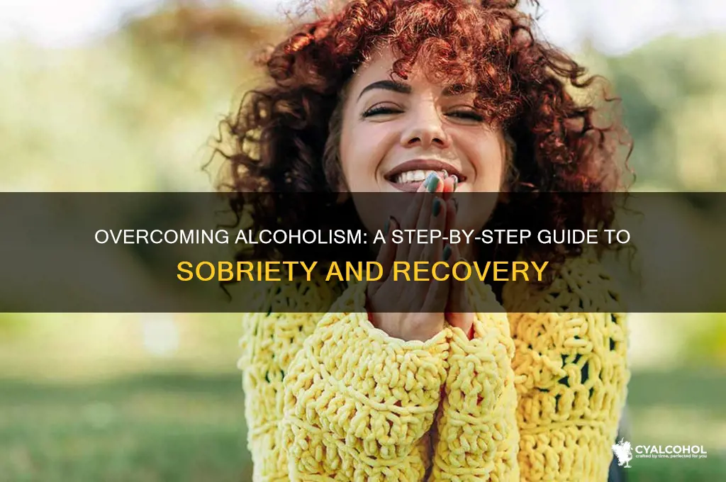 Overcoming Alcoholism: A Step-By-Step Guide To Sobriety And Recovery ...