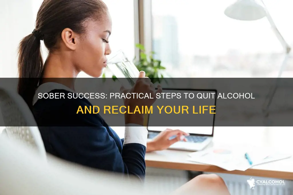 Sober Success: Practical Steps To Quit Alcohol And Reclaim Your Life ...