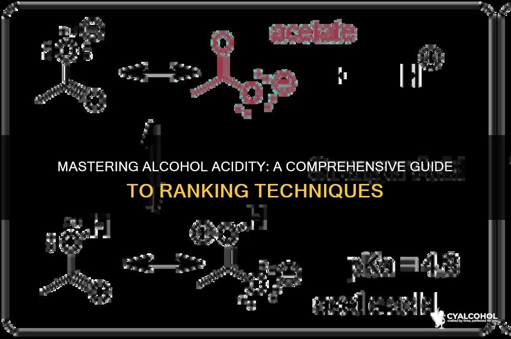 Mastering Alcohol Acidity: A Comprehensive Guide To Ranking Techniques ...