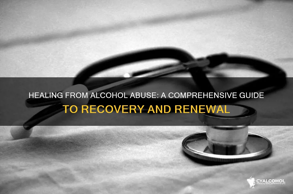 Healing From Alcohol Abuse: A Comprehensive Guide To Recovery And ...