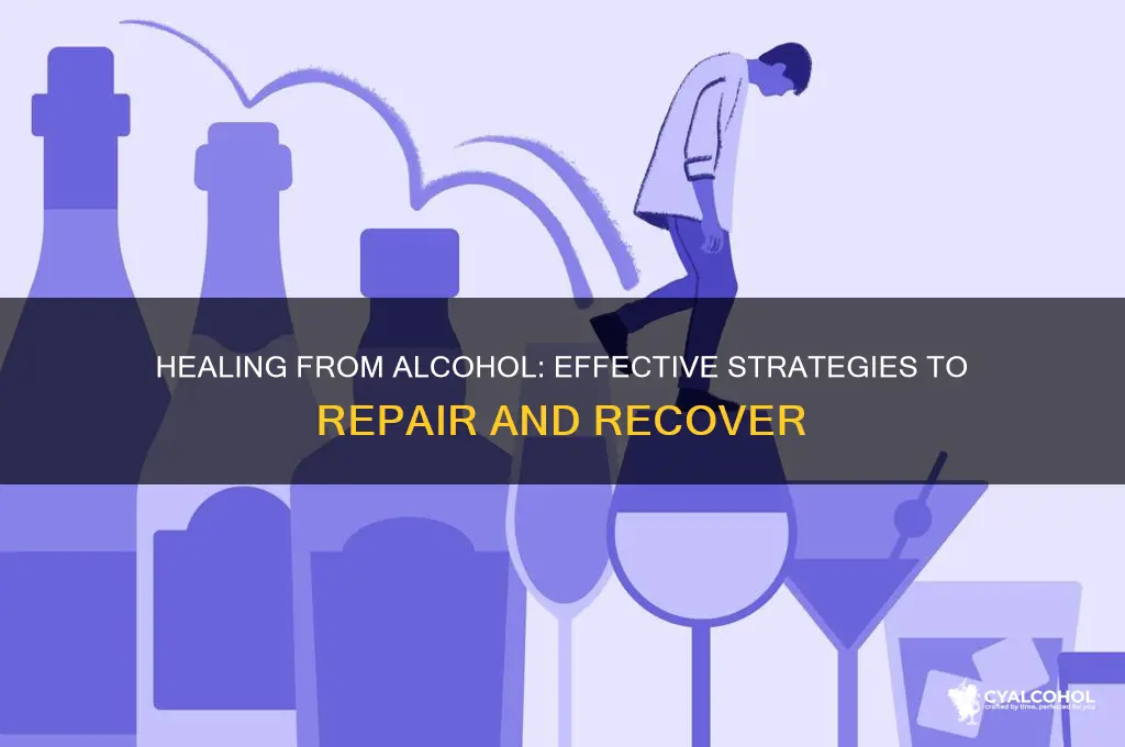 Healing From Alcohol: Effective Strategies To Repair And Recover ...