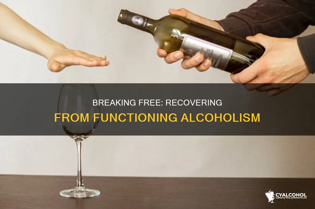 Breaking Free: Recovering From Functioning Alcoholism | CyAlcohol