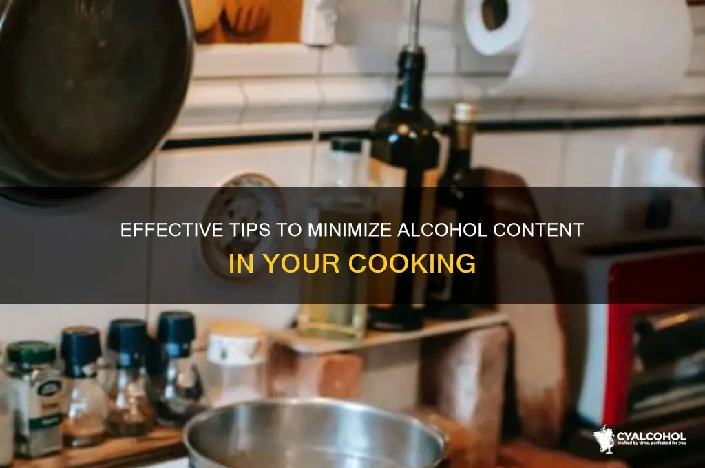 Effective Tips To Minimize Alcohol Content In Your Cooking | CyAlcohol