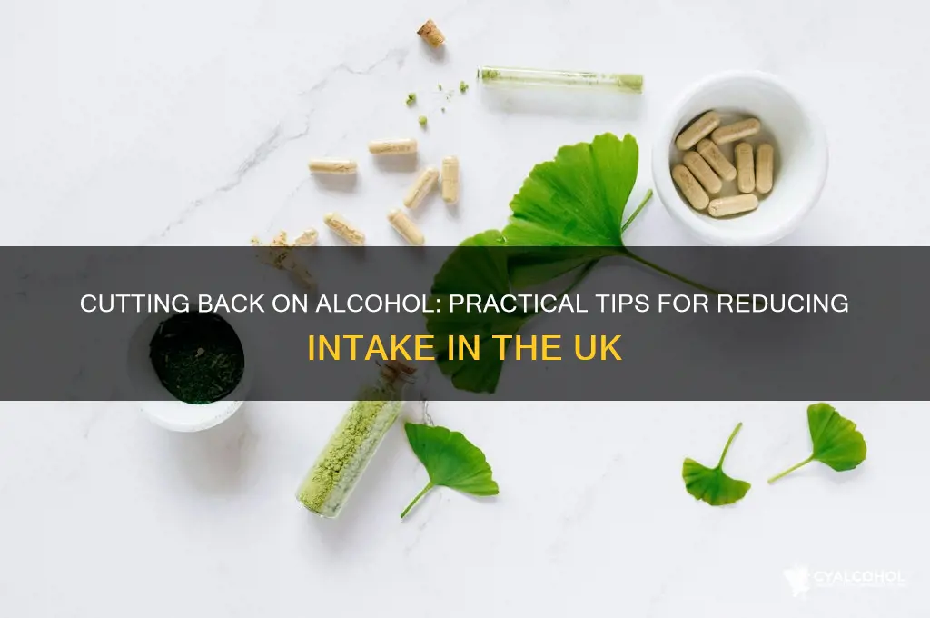Cutting Back On Alcohol: Practical Tips For Reducing Intake In The Uk ...