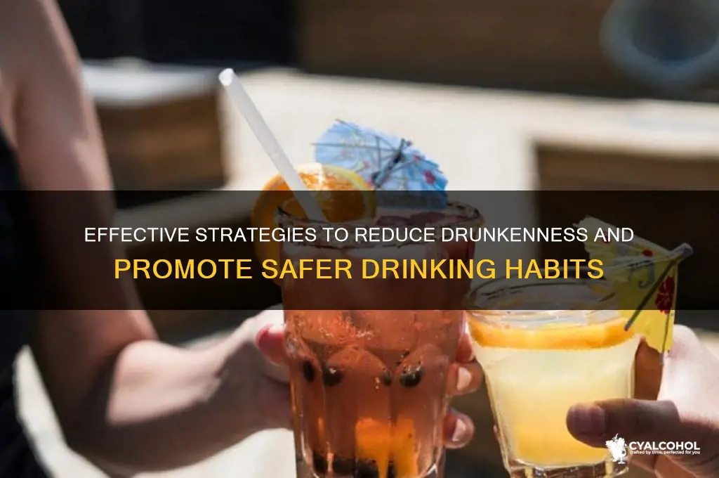 Effective Strategies To Reduce Drunkenness And Promote Safer Drinking ...