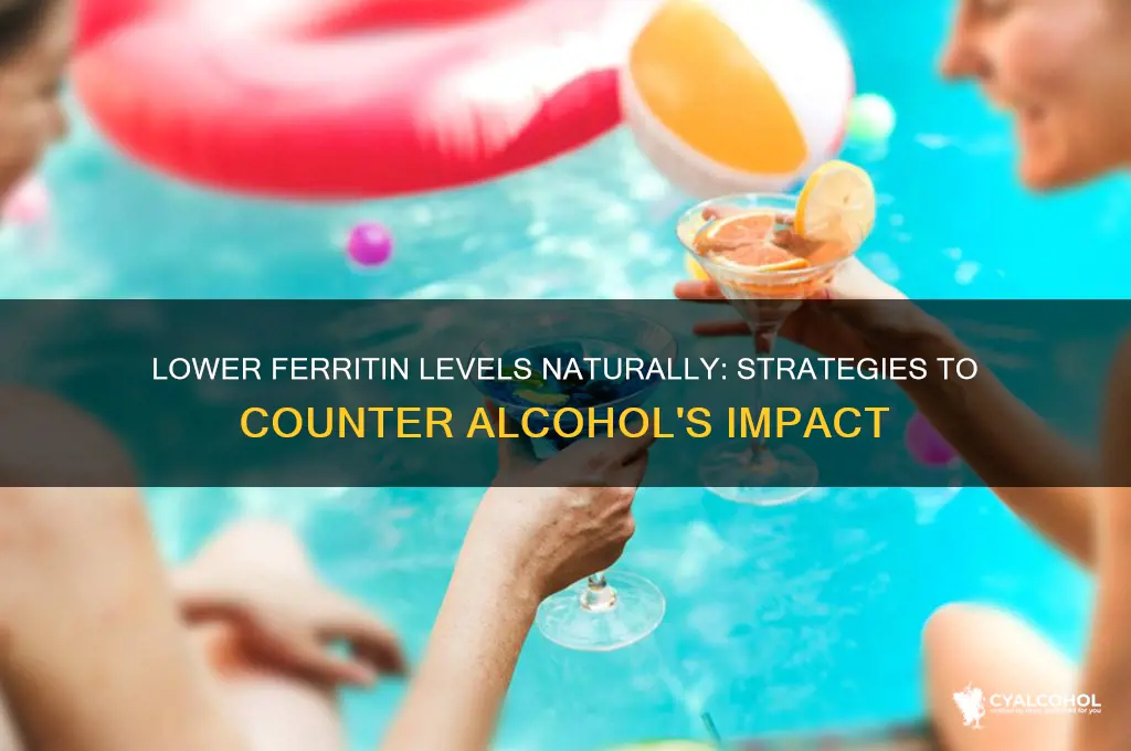 Lower Ferritin Levels Naturally: Strategies To Counter Alcohol's Impact ...