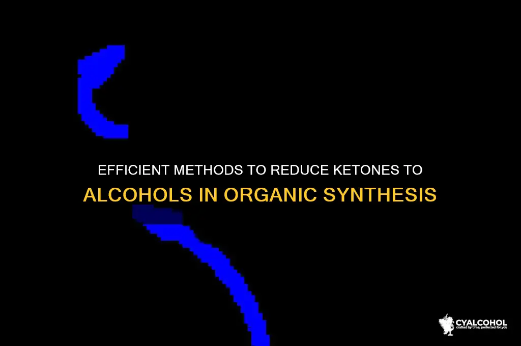 Efficient Methods To Reduce Ketones To Alcohols In Organic Synthesis ...