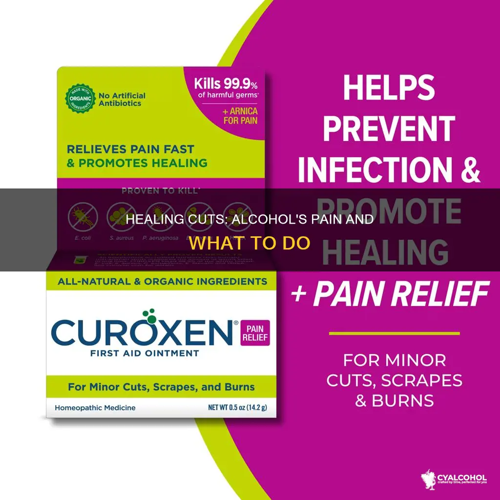 Healing Cuts: Alcohol's Pain And What To Do | CyAlcohol