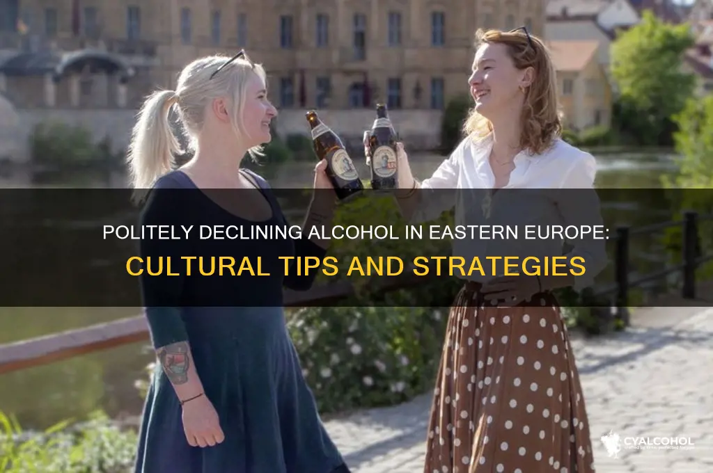 Politely Declining Alcohol In Eastern Europe: Cultural Tips And ...