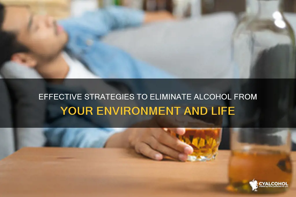 Effective Strategies To Eliminate Alcohol From Your Environment And ...