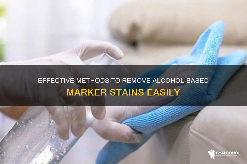 Effective Methods To Remove Alcohol-Based Marker Stains Easily | CyAlcohol