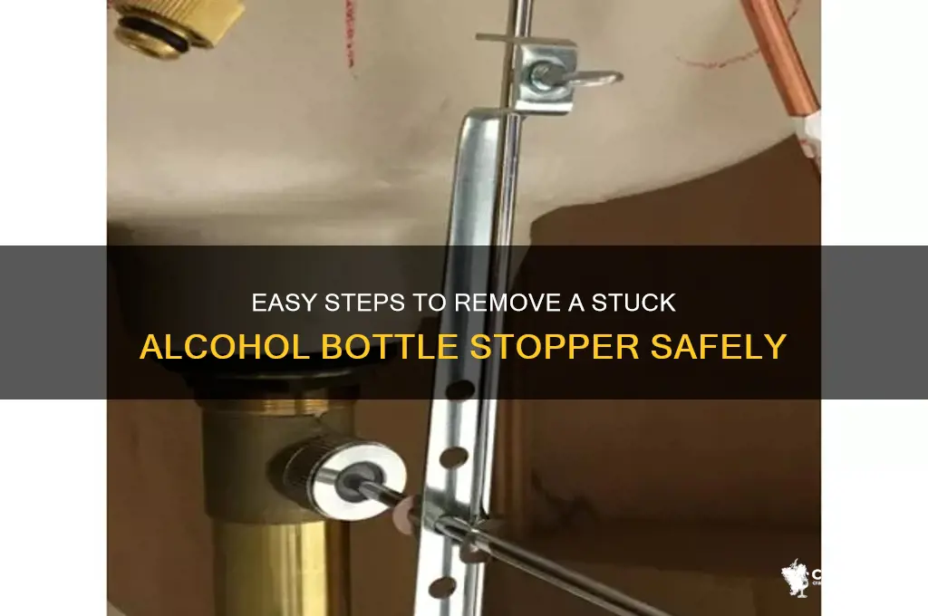 Easy Steps To Remove A Stuck Alcohol Bottle Stopper Safely | CyAlcohol