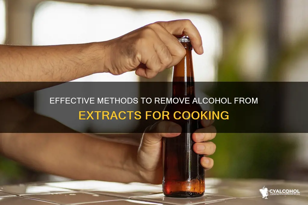 Effective Methods To Remove Alcohol From Extracts For Cooking | CyAlcohol