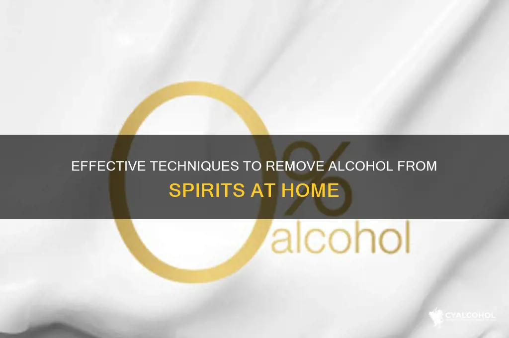 Effective Techniques To Remove Alcohol From Spirits At Home | CyAlcohol