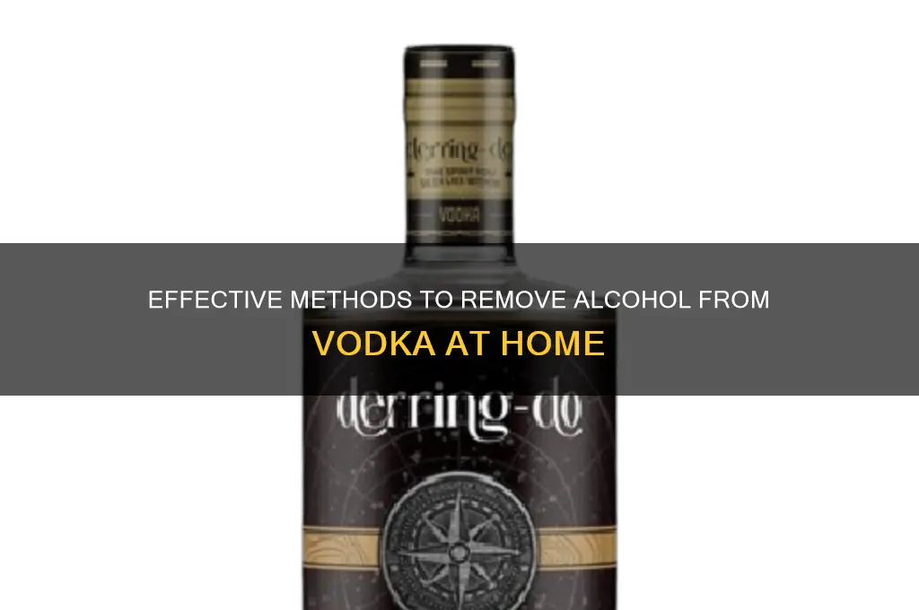 Effective Methods To Remove Alcohol From Vodka At Home | CyAlcohol
