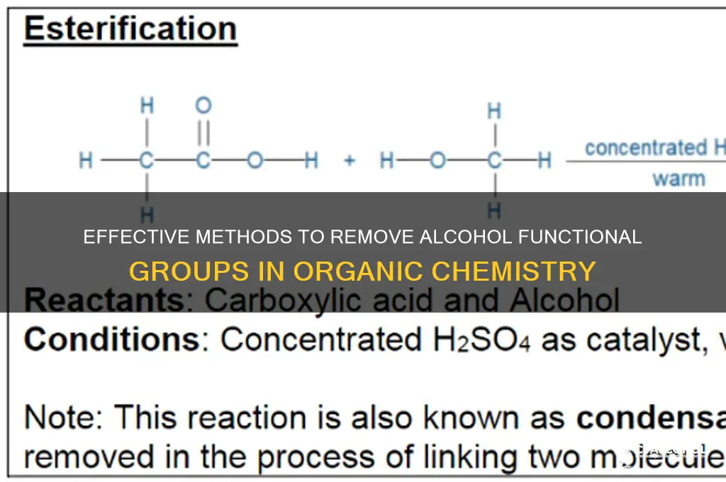 Effective Methods To Remove Alcohol Functional Groups In Organic ...