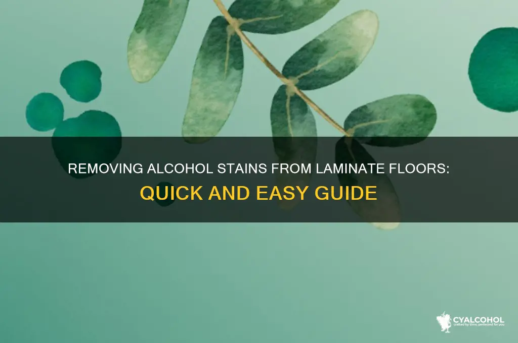 Removing Alcohol Stains From Laminate Floors: Quick And Easy Guide ...