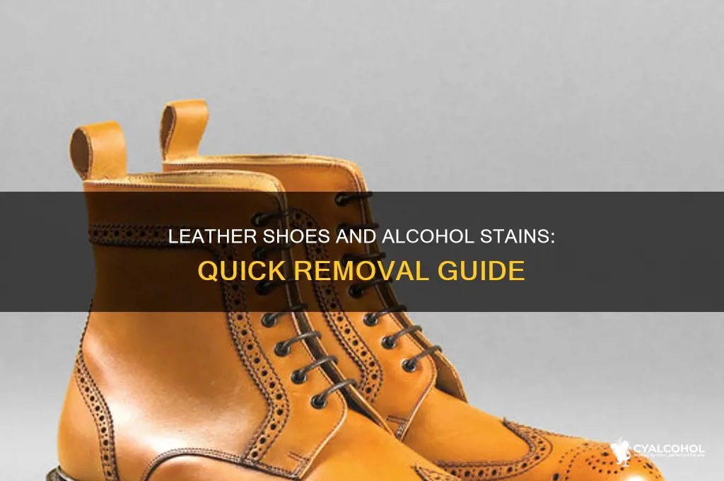 Leather Shoes And Alcohol Stains: Quick Removal Guide | CyAlcohol