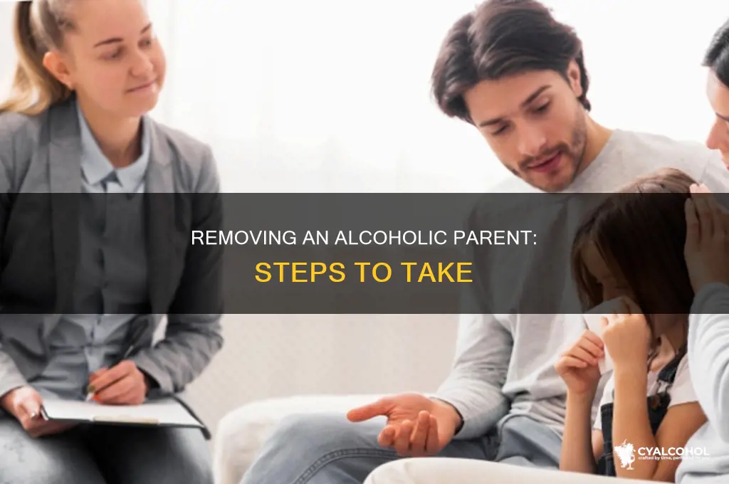Removing An Alcoholic Parent: Steps To Take | CyAlcohol