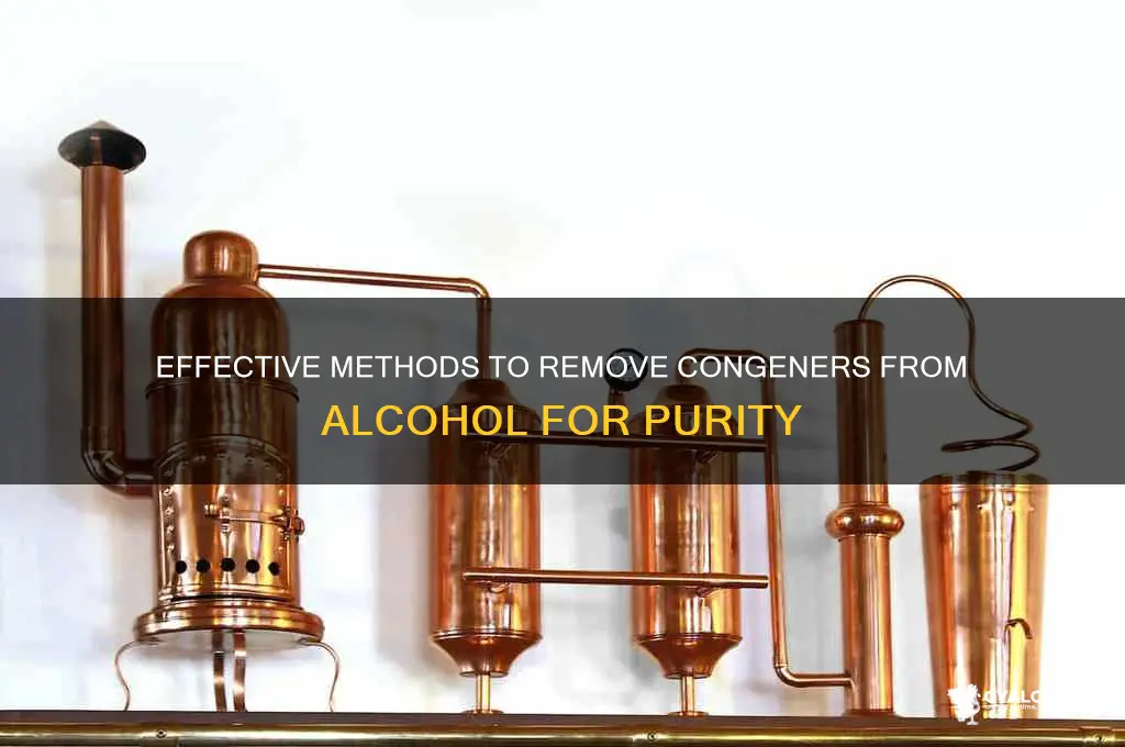 Effective Methods To Remove Congeners From Alcohol For Purity | CyAlcohol
