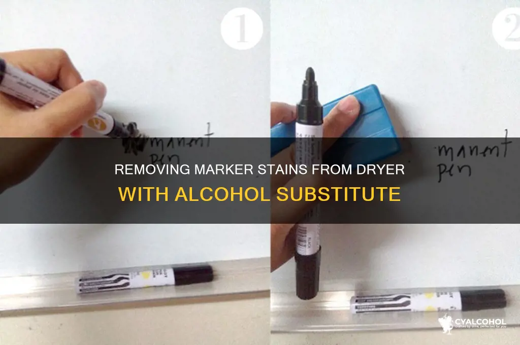 Removing Marker Stains From Dryer With Alcohol Substitute | CyAlcohol