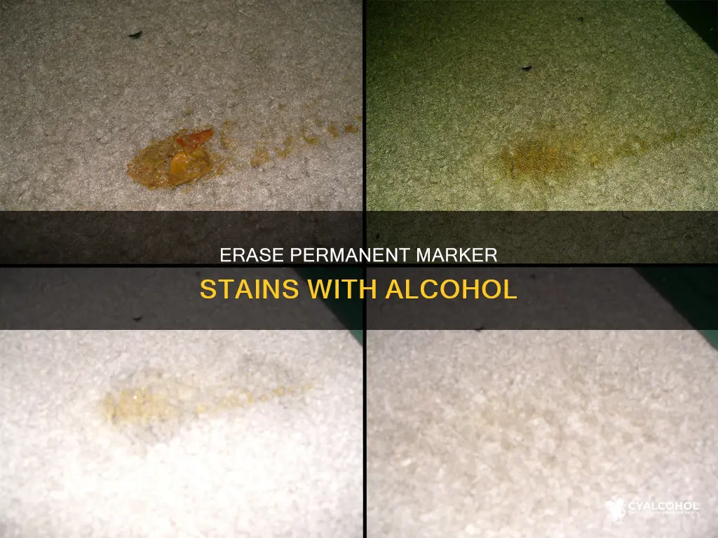 Erase Permanent Marker Stains With Alcohol | CyAlcohol