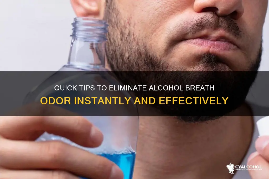 Quick Tips To Eliminate Alcohol Breath Odor Instantly And Effectively ...