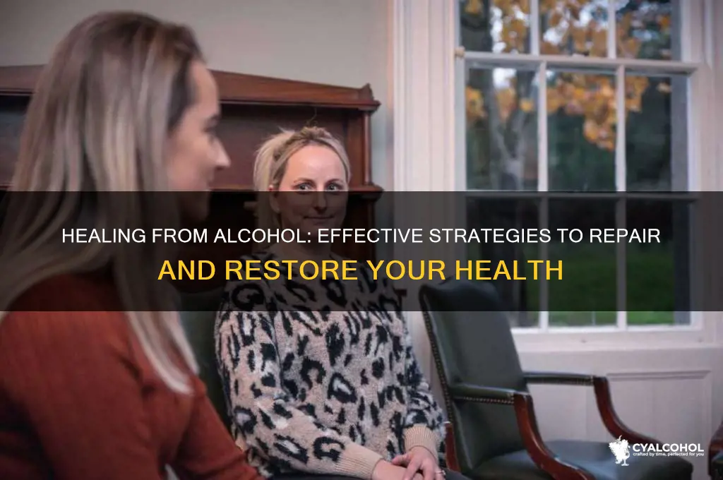 Healing From Alcohol: Effective Strategies To Repair And Restore Your ...