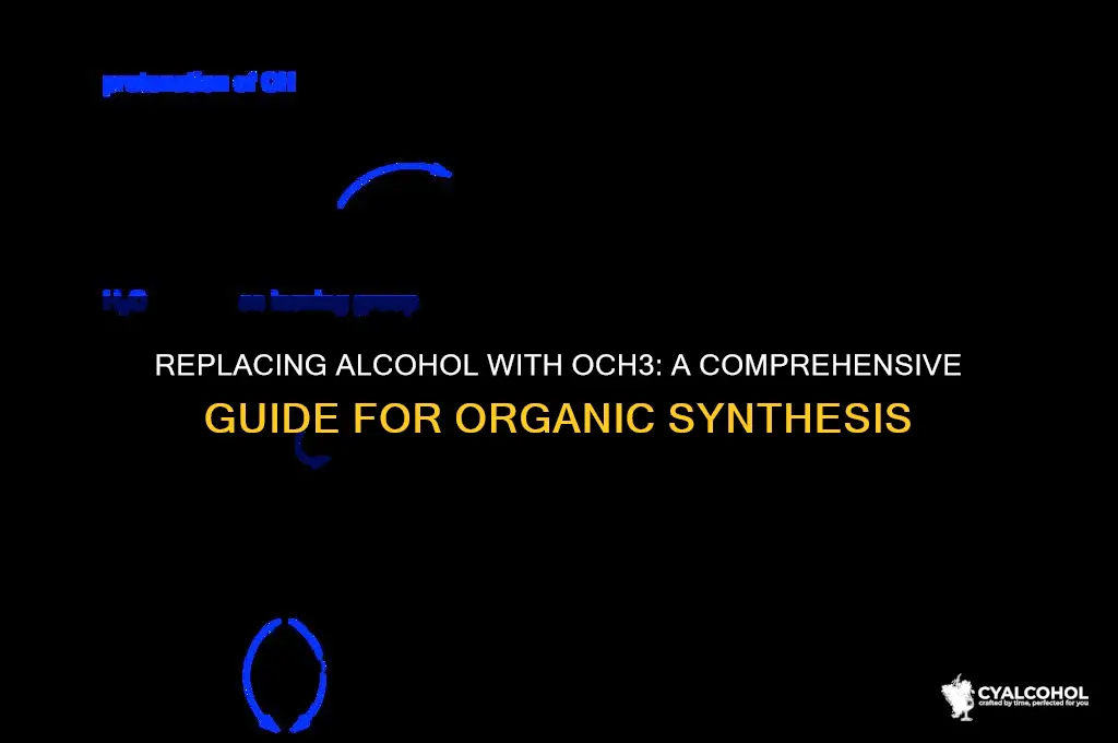 Replacing Alcohol With Och3: A Comprehensive Guide For Organic ...