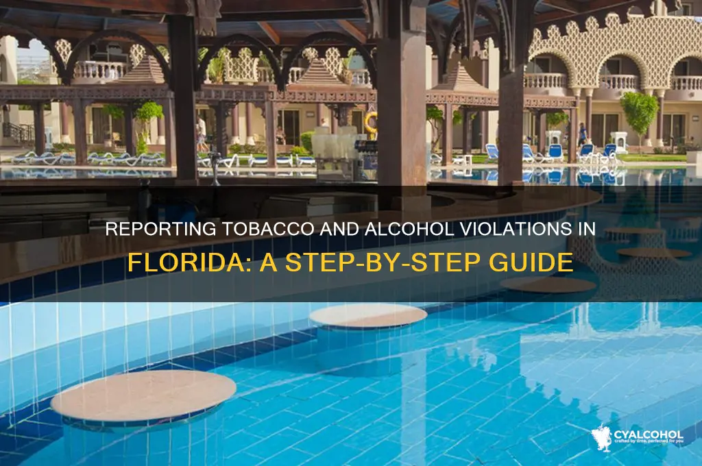 Reporting Tobacco And Alcohol Violations In Florida: A Step-By-Step ...