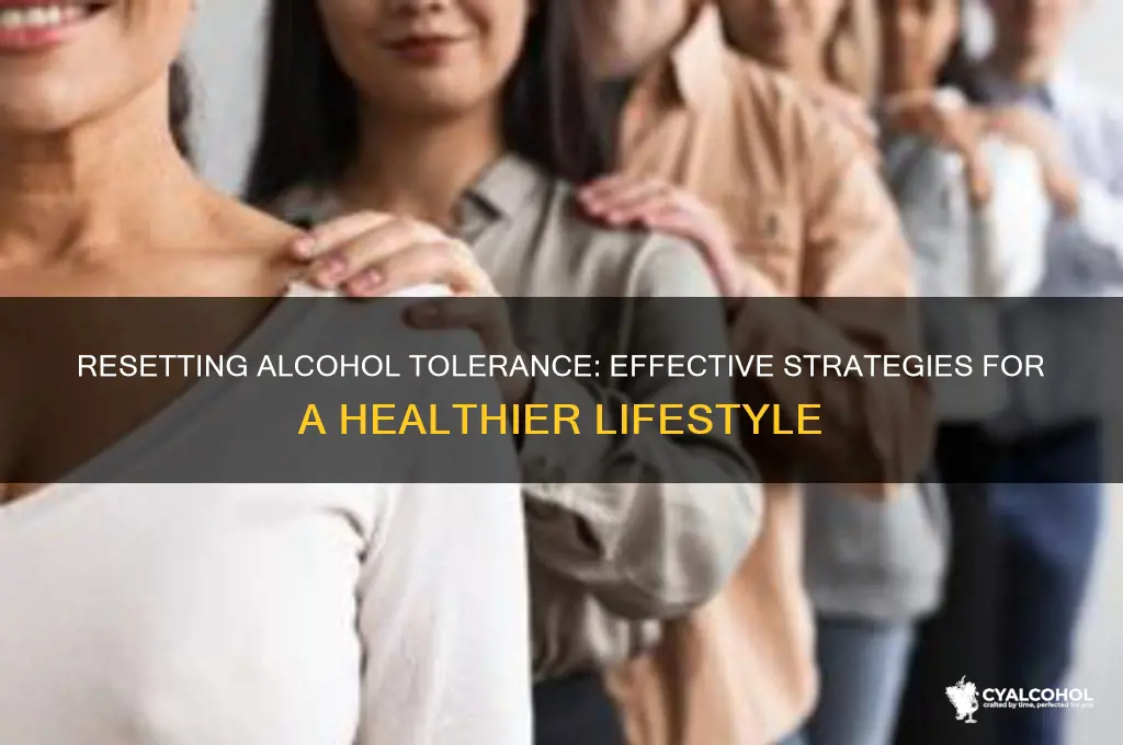 Resetting Alcohol Tolerance: Effective Strategies For A Healthier ...