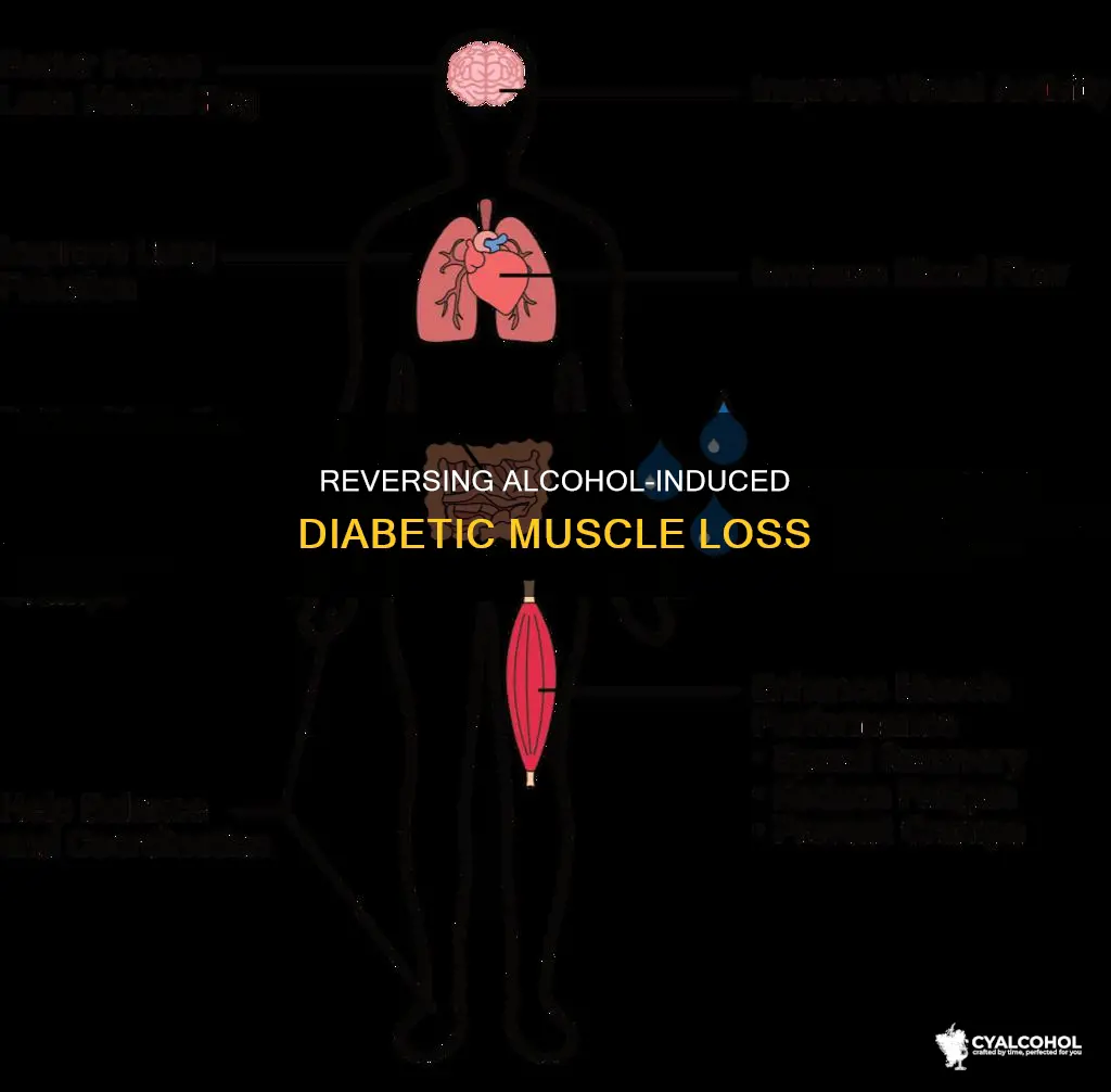 Reversing Alcohol-Induced Diabetic Muscle Loss | CyAlcohol