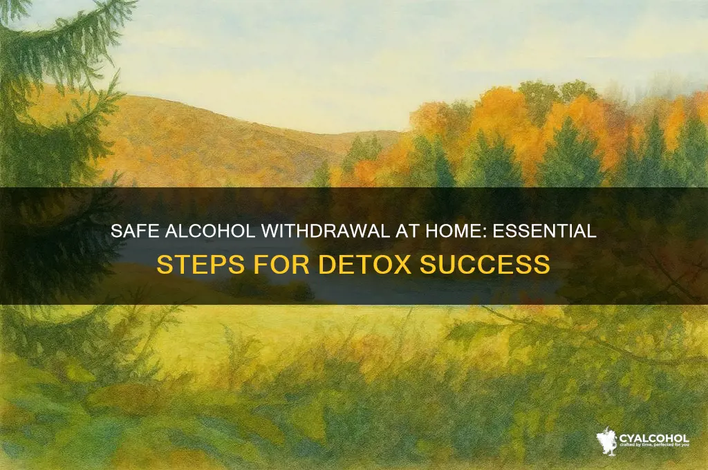 Safe Alcohol Withdrawal At Home: Essential Steps For Detox Success ...