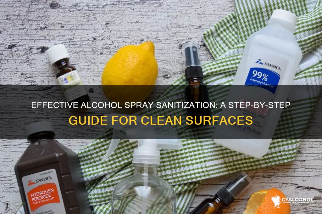 Effective Alcohol Spray Sanitization: A Step-By-Step Guide For Clean ...