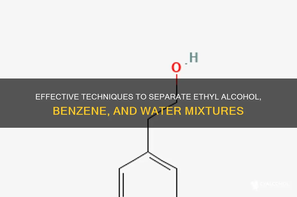 Effective Techniques To Separate Ethyl Alcohol, Benzene, And Water ...