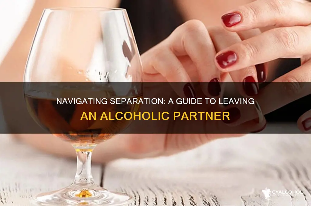 Navigating Separation: A Guide To Leaving An Alcoholic Partner | CyAlcohol
