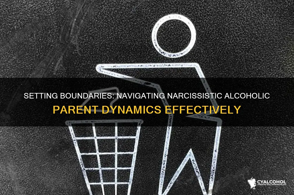 Setting Boundaries: Navigating Narcissistic Alcoholic Parent Dynamics ...