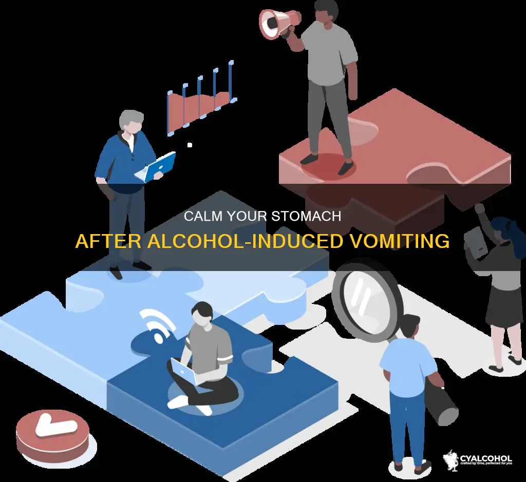 Calm Your Stomach After Alcohol-Induced Vomiting | CyAlcohol