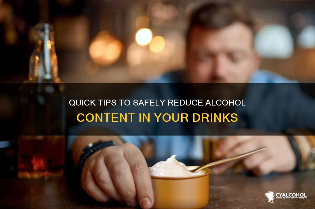 Quick Tips To Safely Reduce Alcohol Content In Your Drinks | CyAlcohol