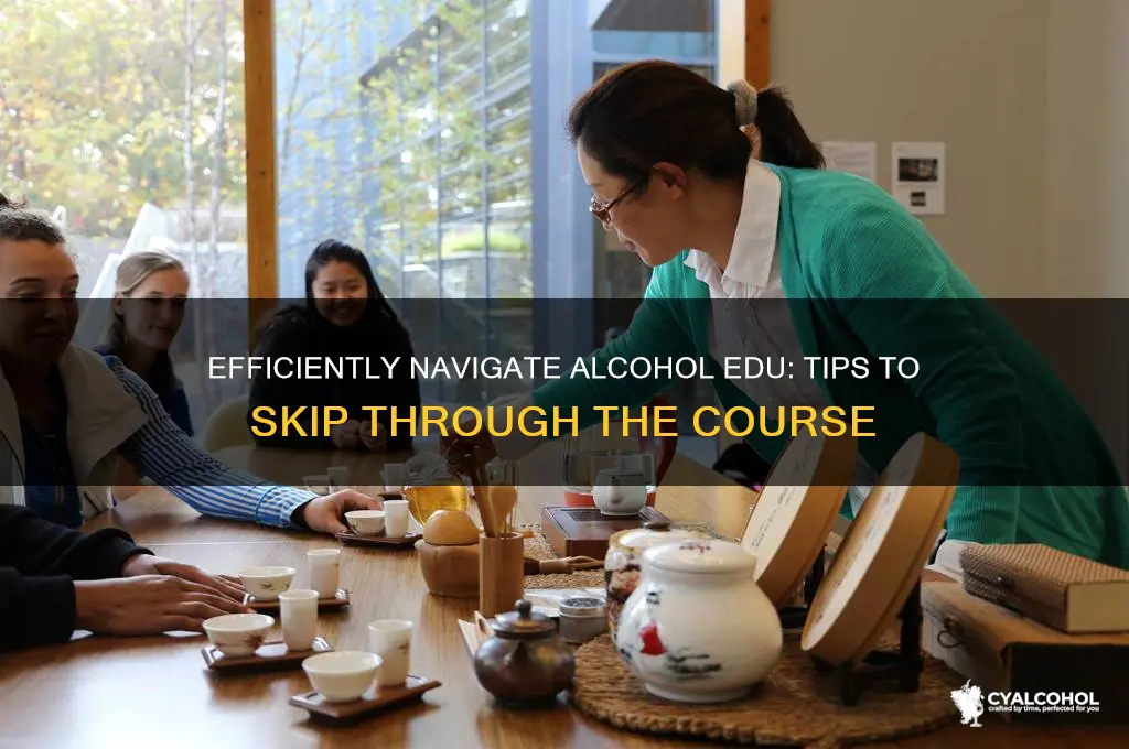 Efficiently Navigate Alcohol Edu: Tips To Skip Through The Course ...