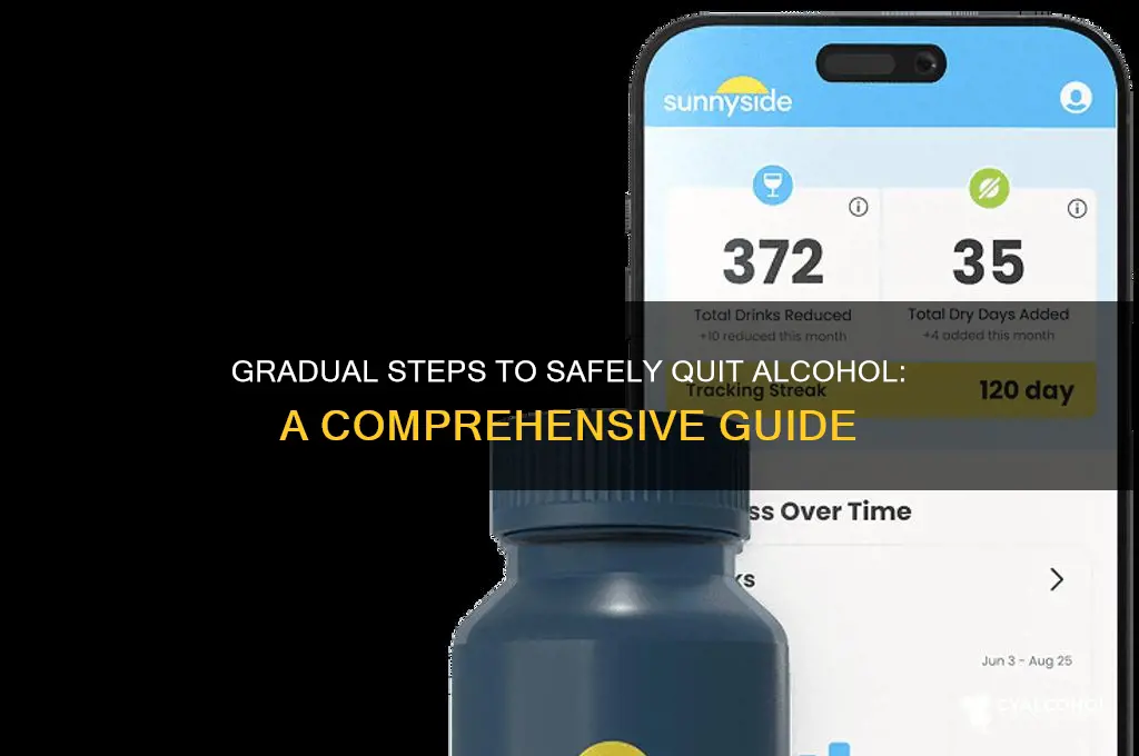 Gradual Steps To Safely Quit Alcohol: A Comprehensive Guide | CyAlcohol