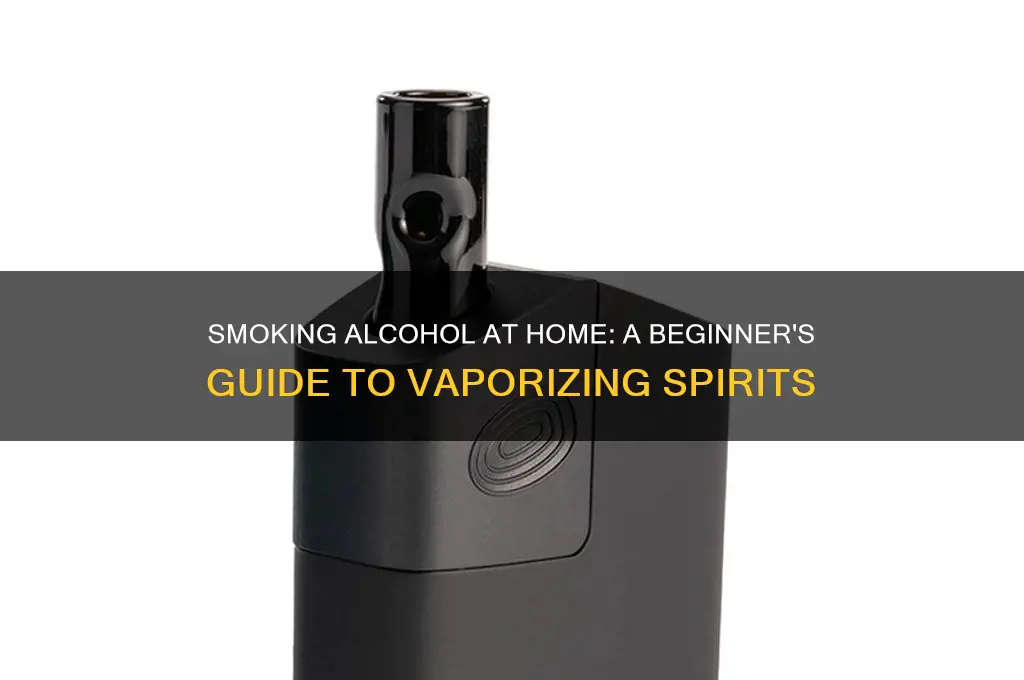 Smoking Alcohol At Home: A Beginner's Guide To Vaporizing Spirits ...