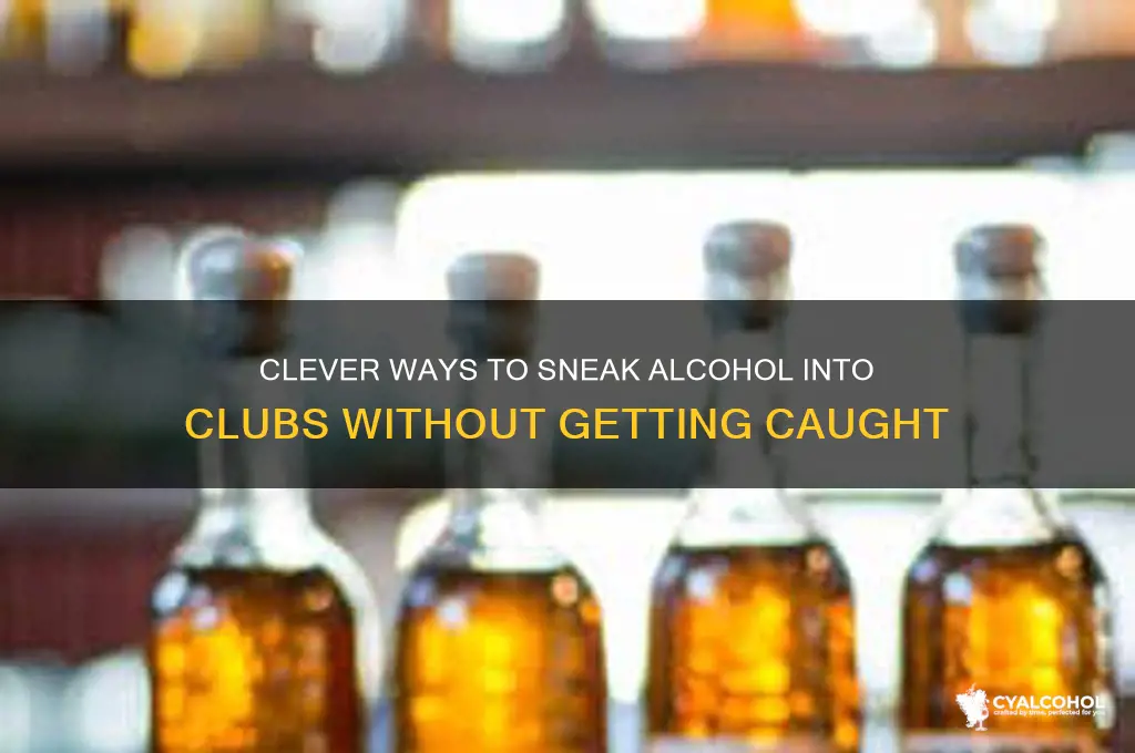 Clever Ways To Sneak Alcohol Into Clubs Without Getting Caught | CyAlcohol