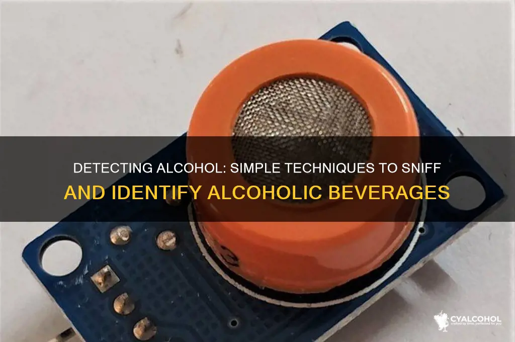 Detecting Alcohol: Simple Techniques To Sniff And Identify Alcoholic ...