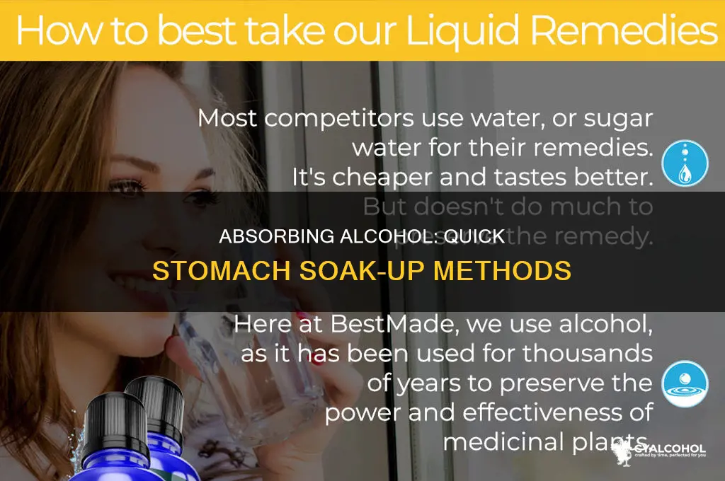 Absorbing Alcohol: Quick Stomach Soak-Up Methods | CyAlcohol