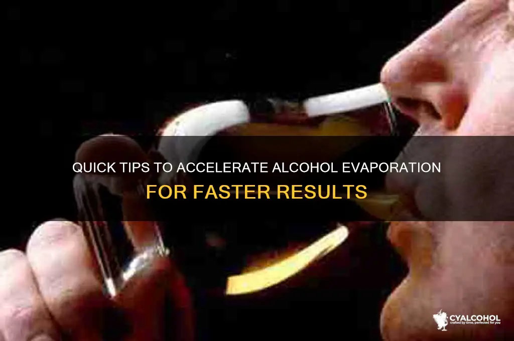 Quick Tips To Accelerate Alcohol Evaporation For Faster Results | CyAlcohol