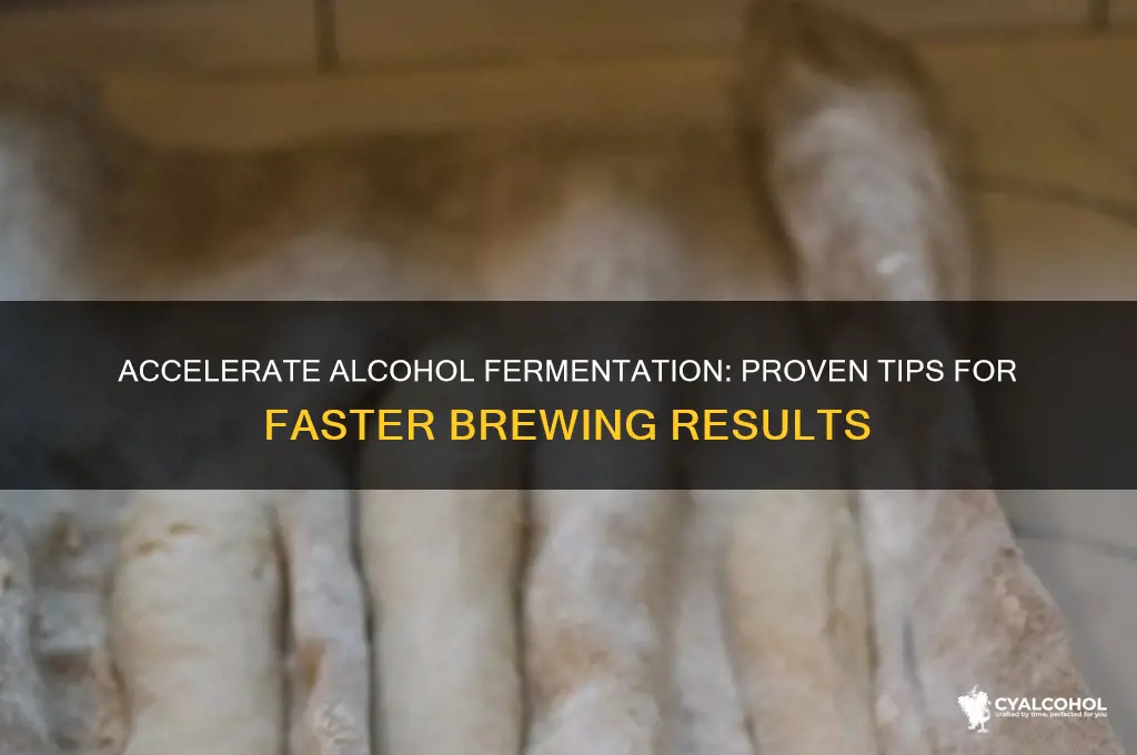 Accelerate Alcohol Fermentation: Proven Tips For Faster Brewing Results ...
