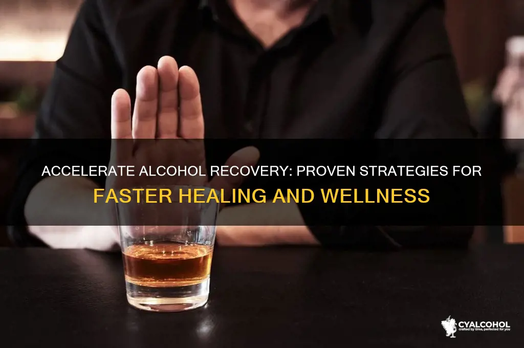 Accelerate Alcohol Recovery: Proven Strategies For Faster Healing And ...